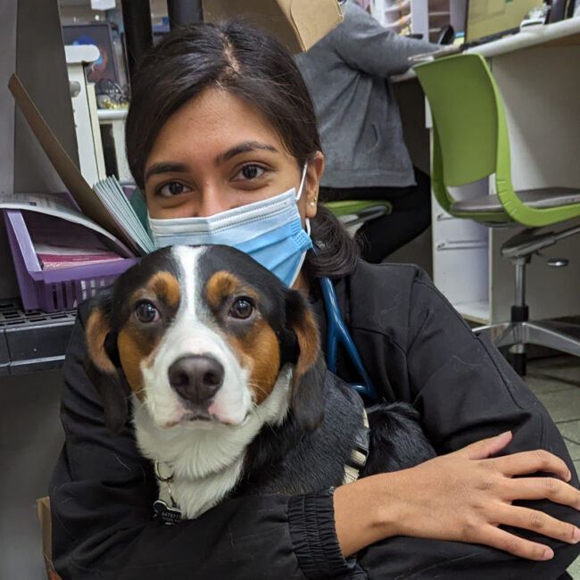 Our Team - Yonge Sheppard Animal Hospital