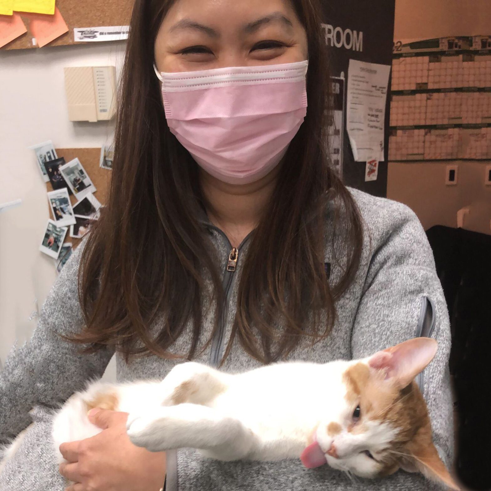 Our Team - Yonge Sheppard Animal Hospital