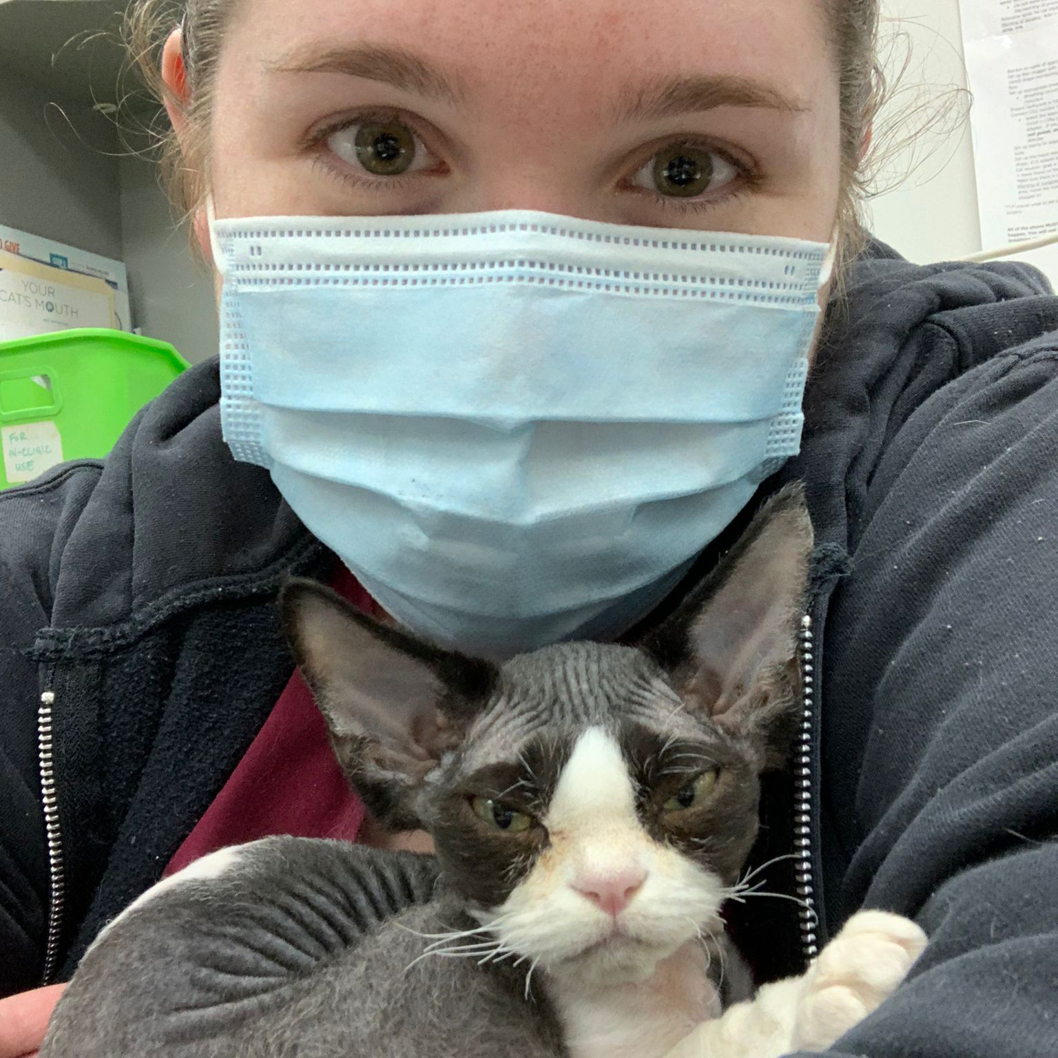 Our Team - Yonge Sheppard Animal Hospital