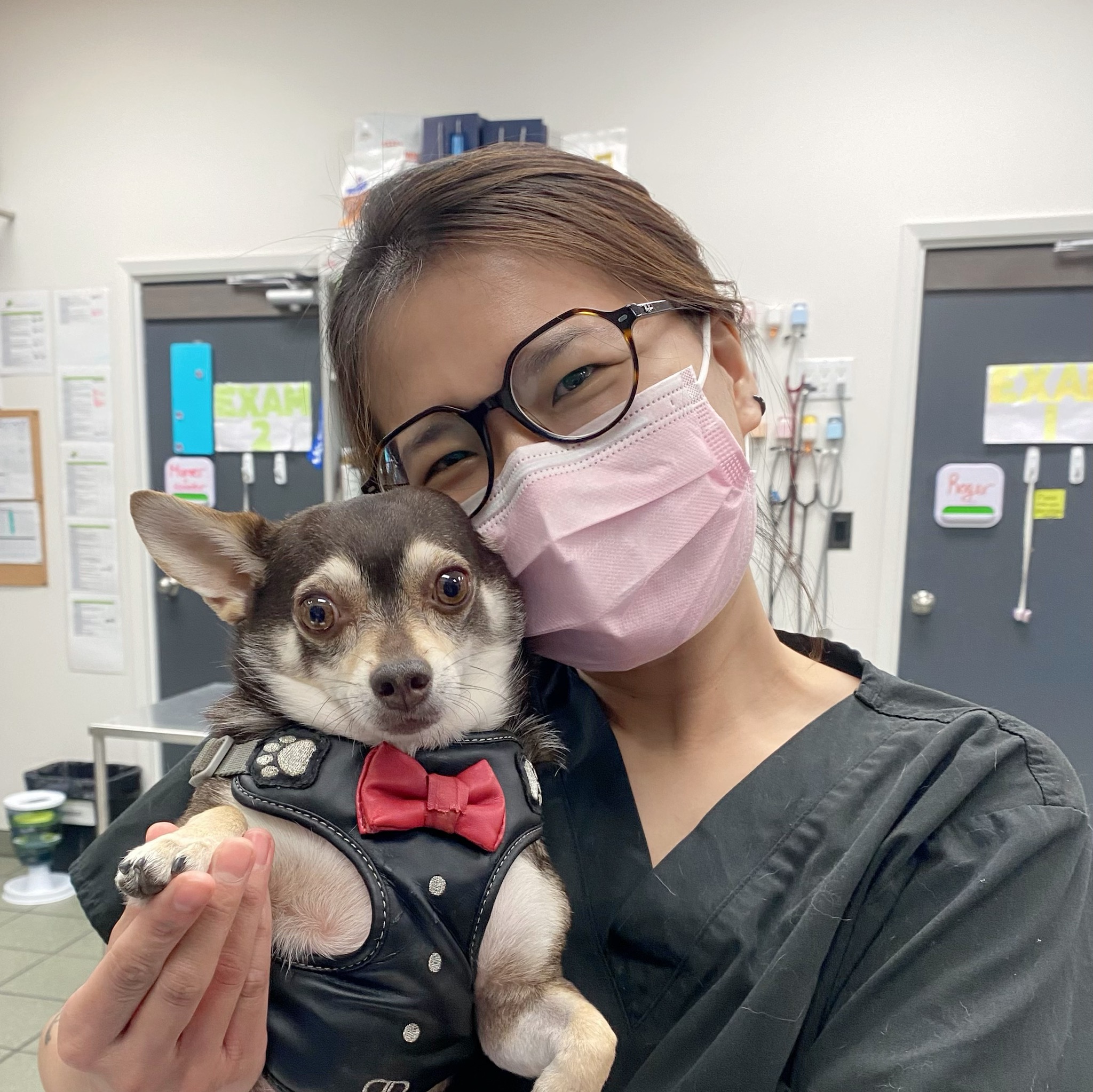 Our Team - Yonge Sheppard Animal Hospital