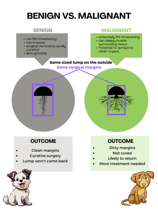 Lumps and Bumps: A Pet Owner’s Guide to Skin Lumps - Yonge Sheppard ...