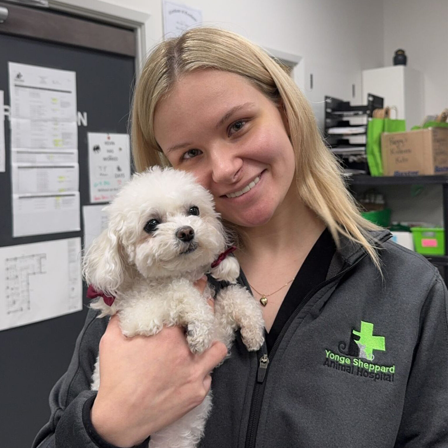 Our Team - Yonge Sheppard Animal Hospital